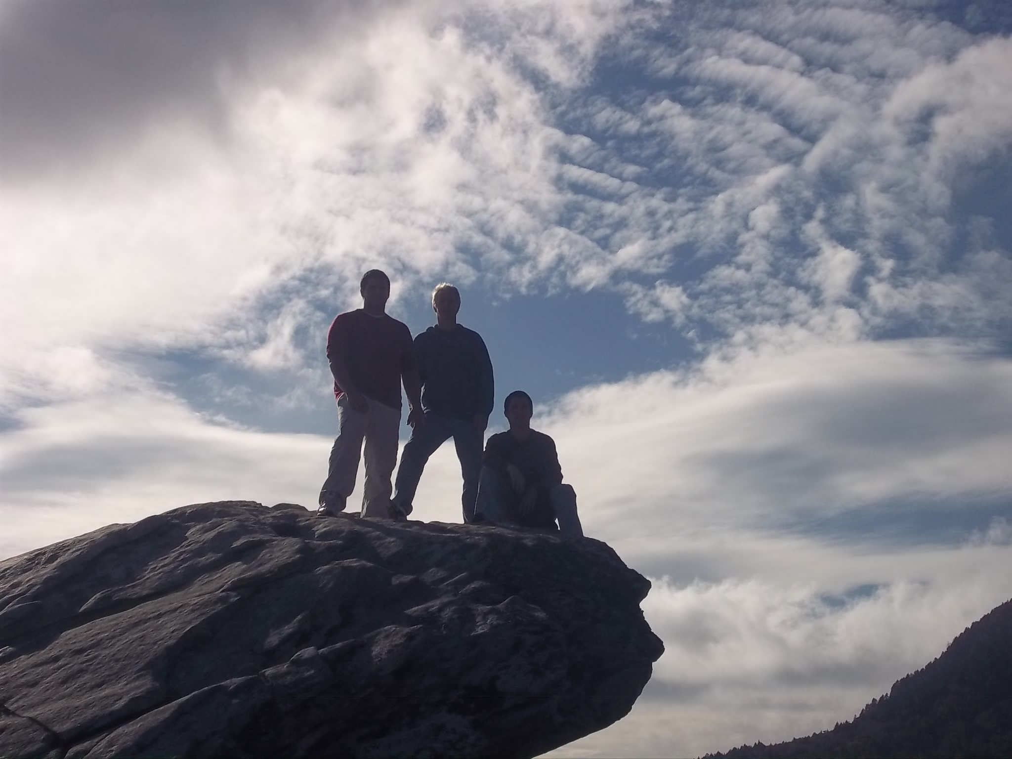 Photos – Blue Turnip